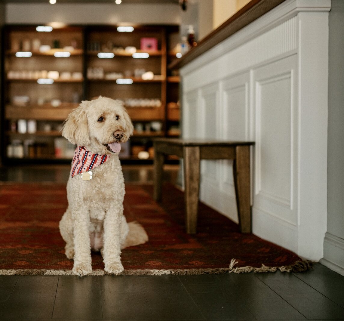 Dog-Friendly Hotel in Greenport, NY | The Harbor Front Inn